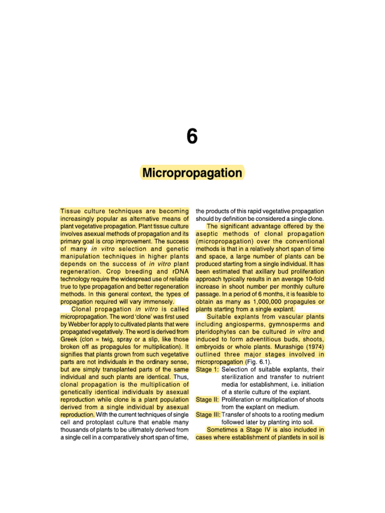 Micropropagation | PDF