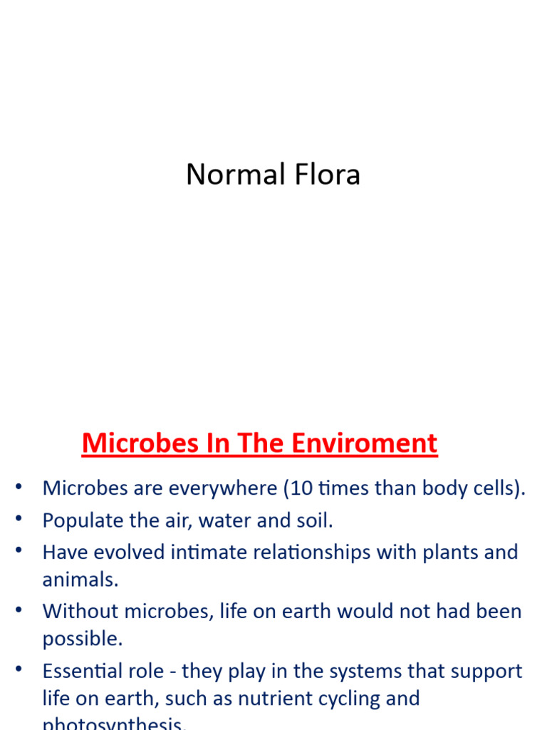 Normal Flora | PDF | Microorganism | Bacteria