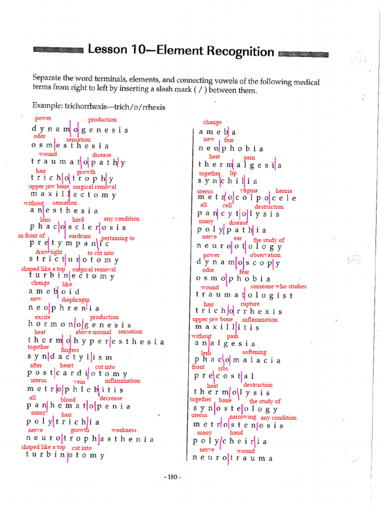 Kami Export - Amanda Haro - Lesson 10 Page 2 | PDF