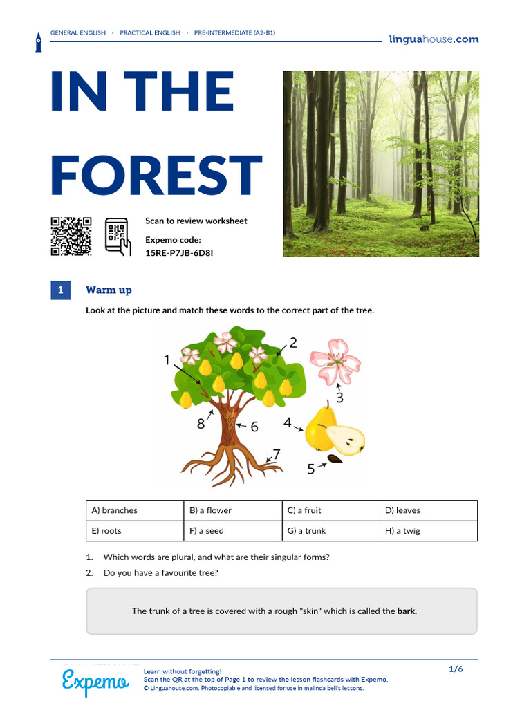 In The Forest British English Student | PDF | Senses | Trees