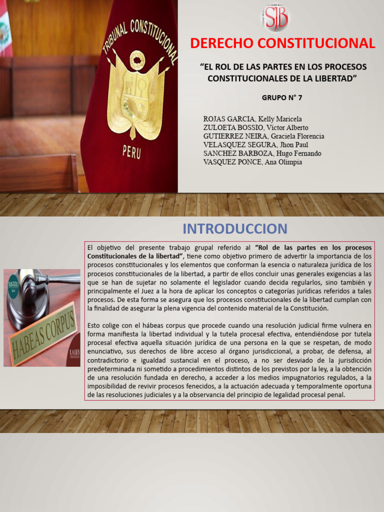 Los Procesos Constitucionales Pdf