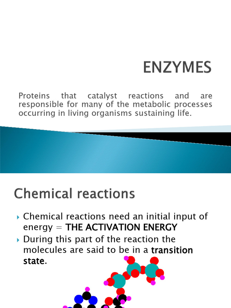 Enzymes | PDF | Enzyme | Active Site