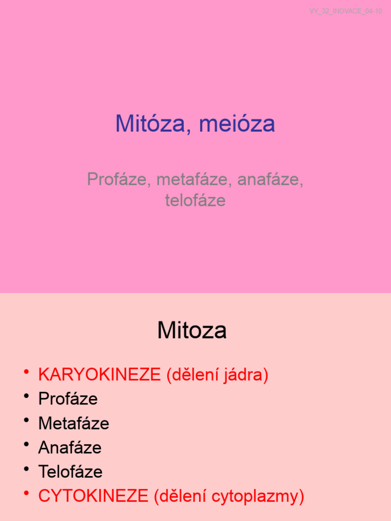 Vy 32 Inovace 04-10 Mitoza Meioza | PDF