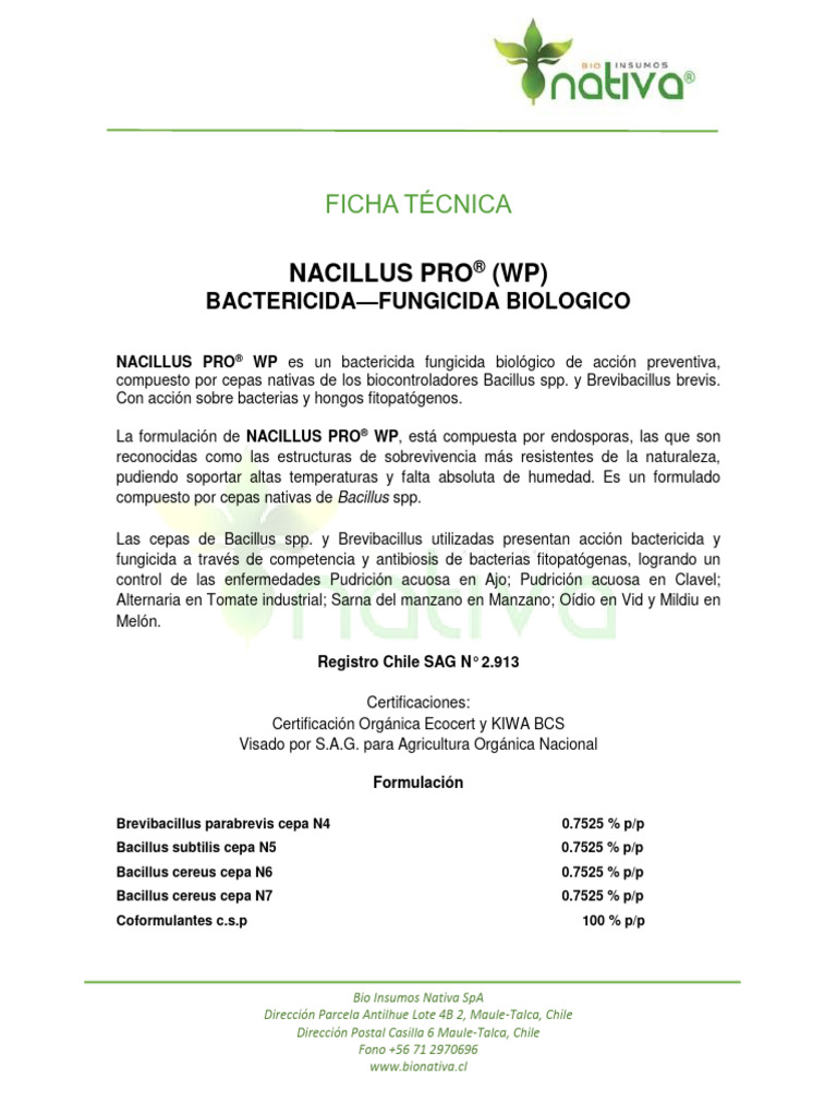FT Nacillus Pro | Descargar gratis PDF | Bacilo | Especialidades Medicas