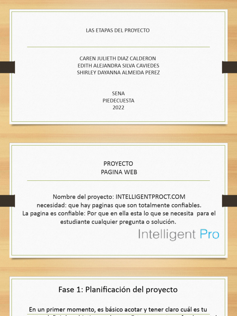 Etapas Del Proyecto | PDF | Planificación