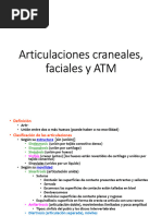 Articulaciones Cabeza y Cuello | PDF | Articulación | Cráneo