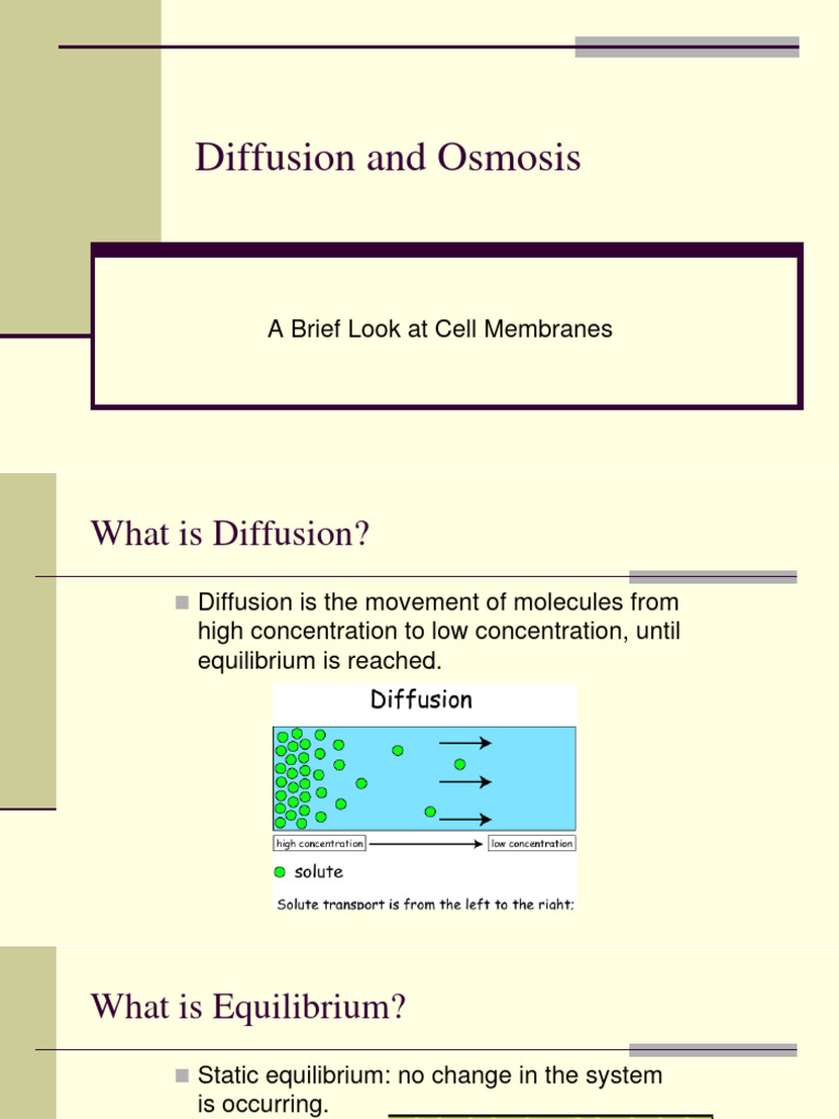 Life Science Notes | PDF | Osmosis | Chemical Engineering