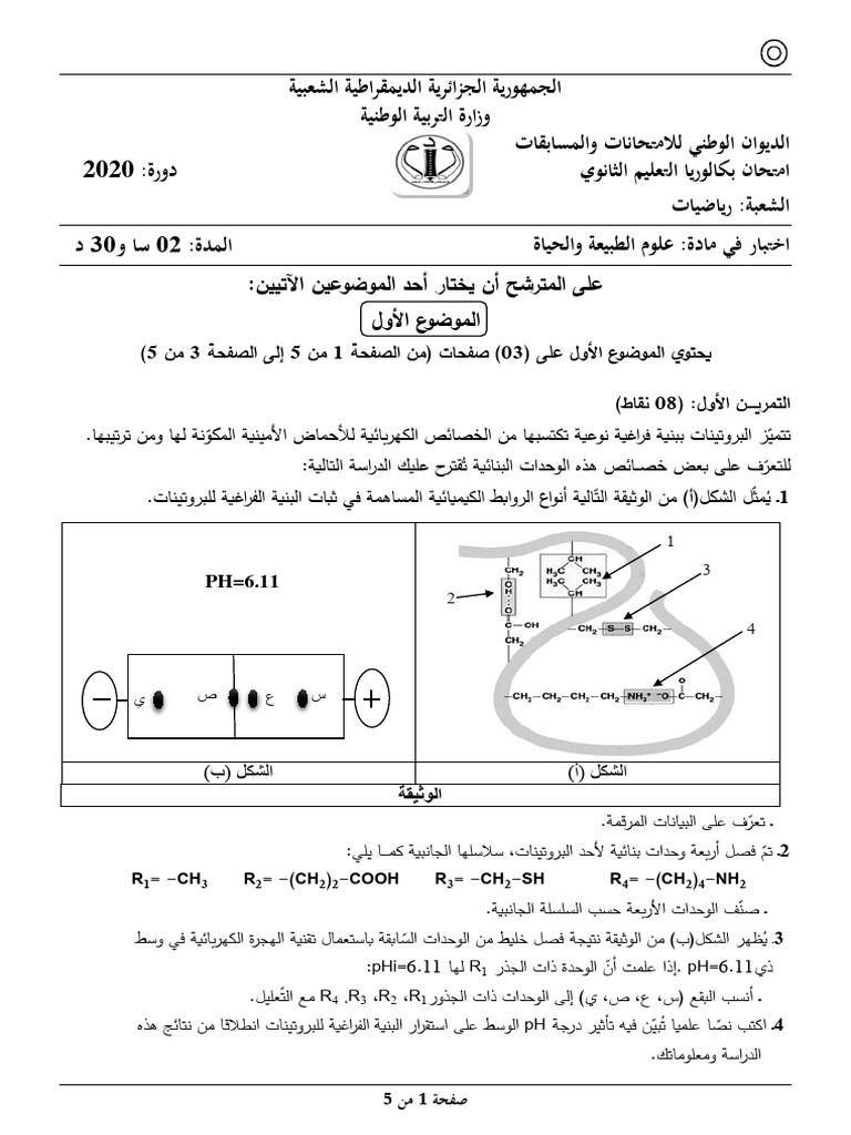 Dzexams Bac Sciences 2273619 | PDF
