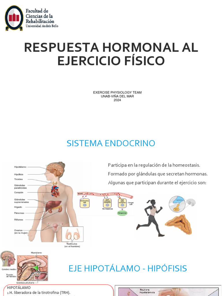 Respuesta Hormonal Al Ejercicio | PDF | Hormona luteinizante | Hormona estimulante de la tiroides