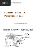 Reflejo de Flehmen en Animales | PDF | Biología