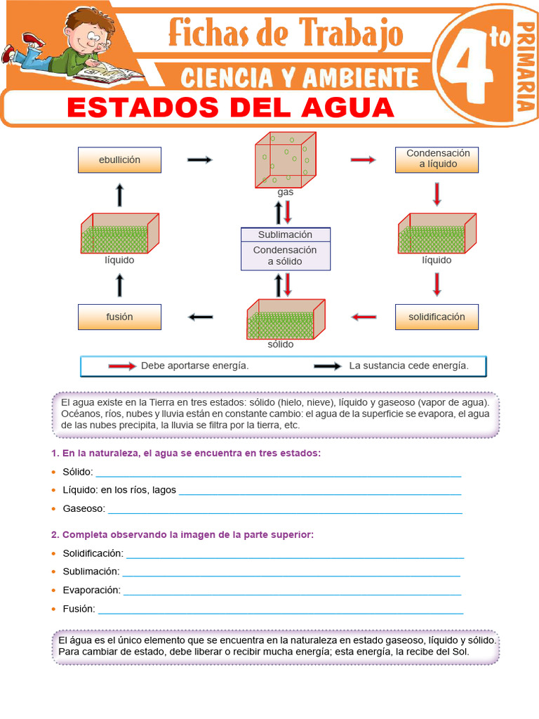 Estados-Del-Agua | PDF | Agua | Vapor de agua