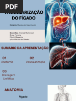 Anatomia do Fígado e Vias Biliares | PDF | Fígado | Anatomia