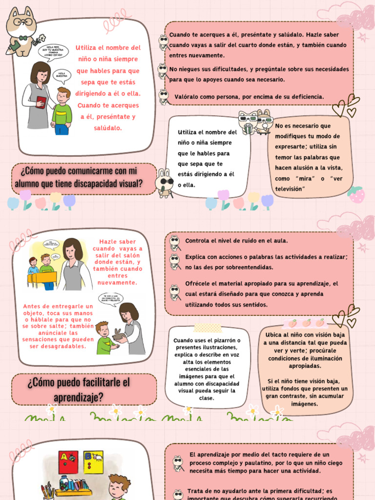 Ajustes para La Inclusion Educativa en Ceguera o Debil Visual. | PDF ...