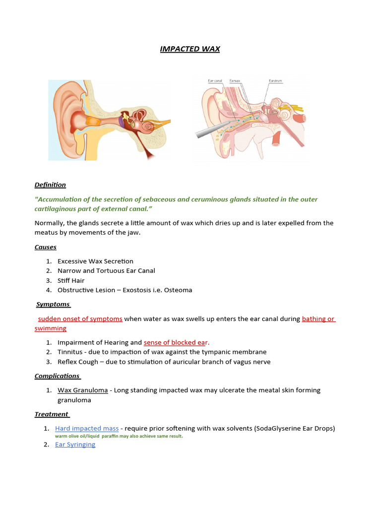 Diseases of External Meatus | PDF | Ear | Medical Specialties