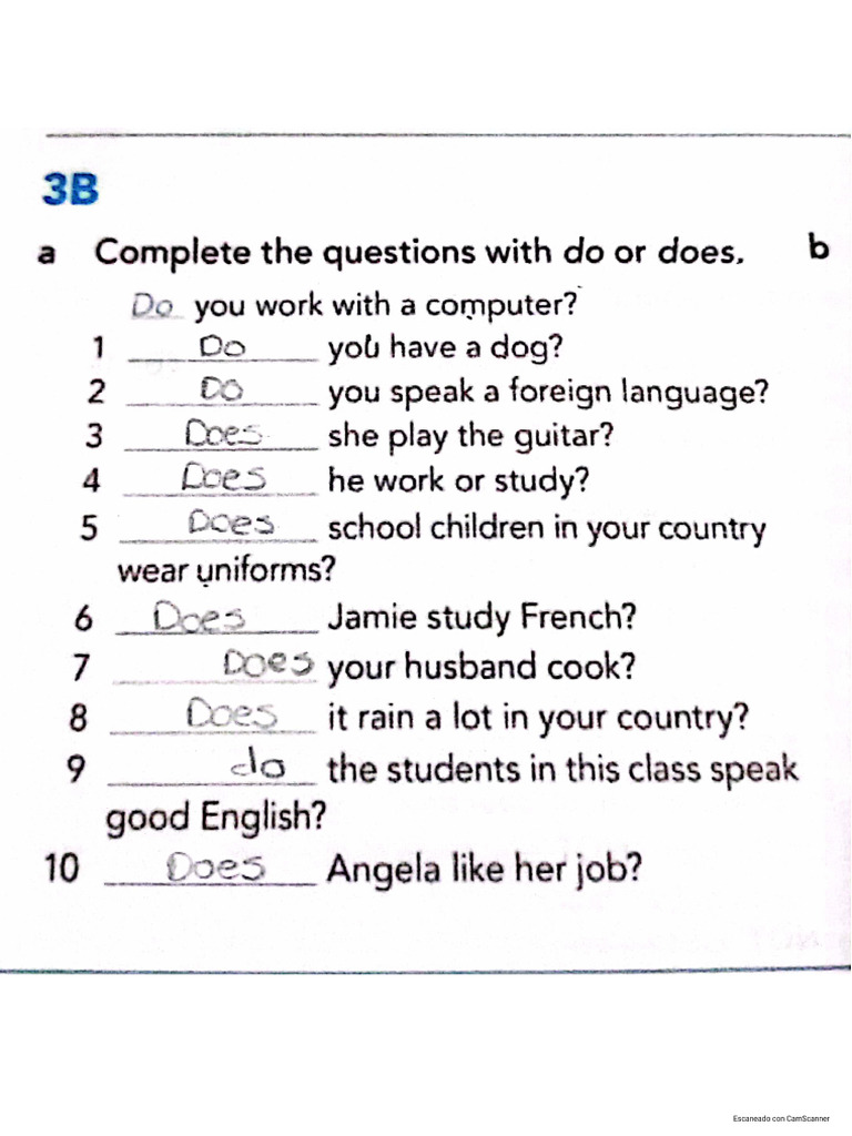 Ejemplos del auxiliar DO y DOES | PDF