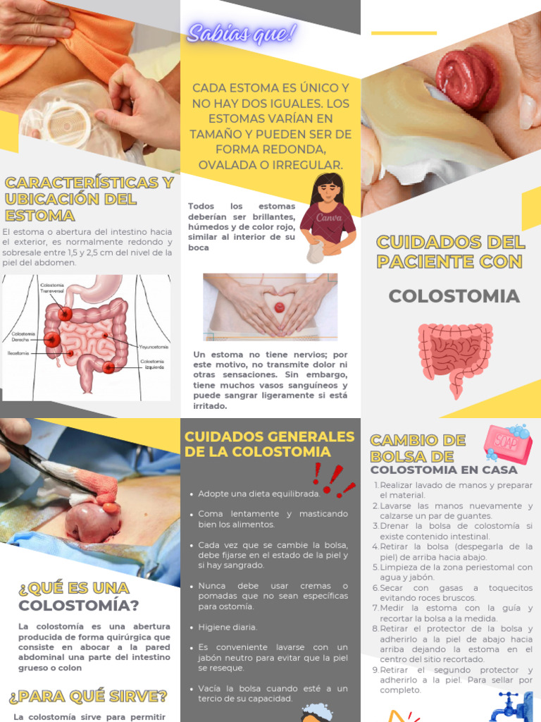 COLOSTOMÍAS | PDF | Tracto gastrointestinal | Intestino grueso