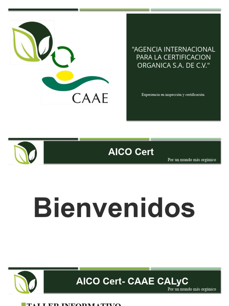 AICO Cert Presentación[1] SOE | PDF