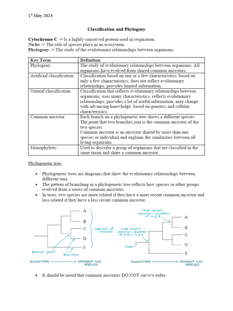 Classification L4 Biodiversity | PDF | Taxonomy (Biology) | Phylogenetics