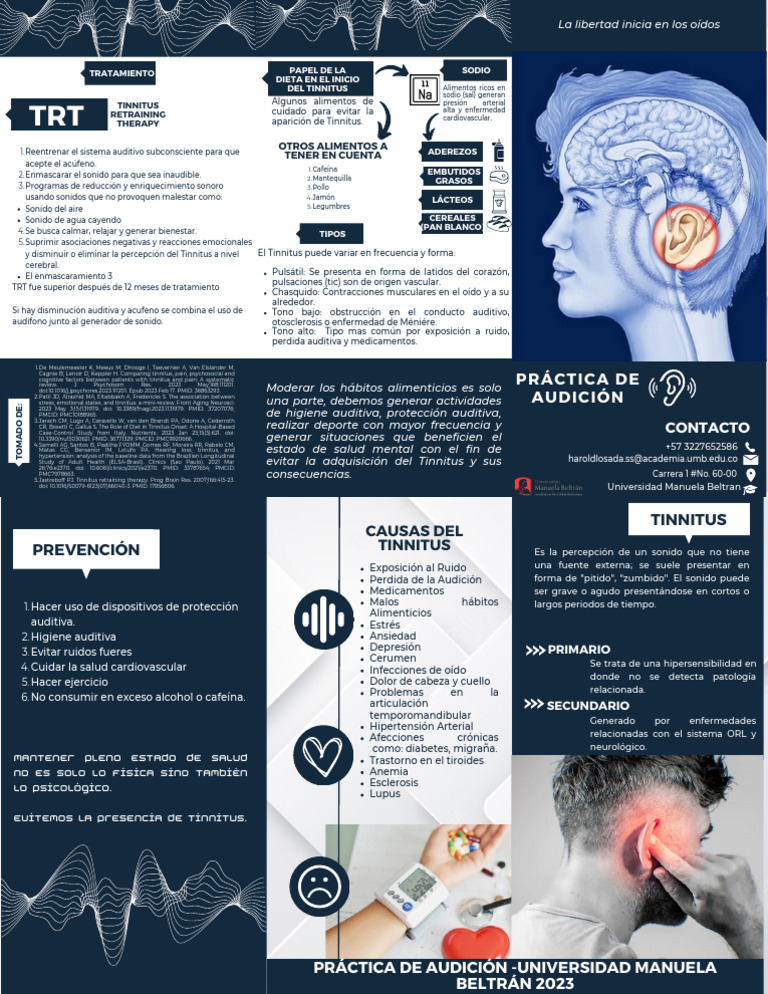 Folleto Tinnitus 2023 | PDF | Tinnitus | Medicina CLINICA