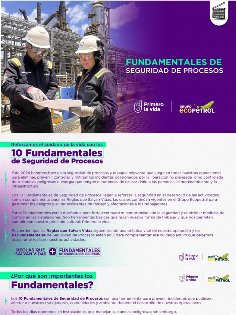 Reglas de Seguridad de Procesos | PDF