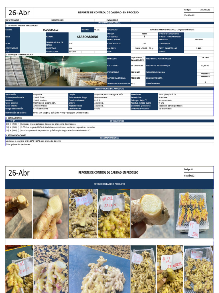 Jacoma-Reporte de Calidad1 | PDF