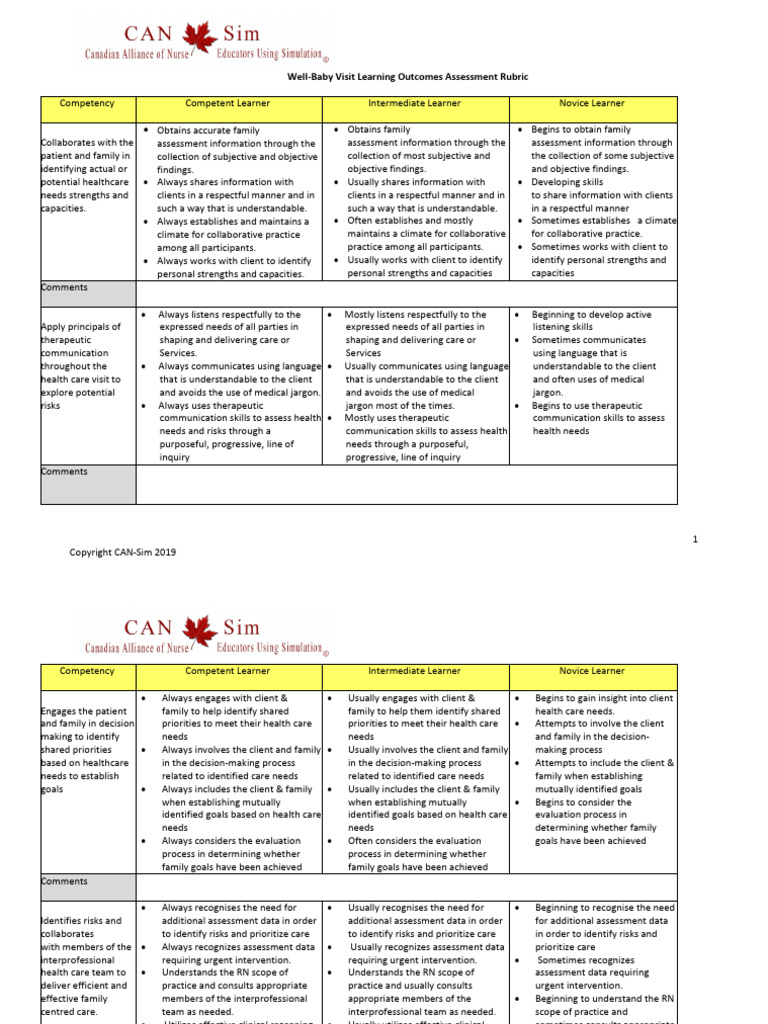 Well Baby Self Assessment Rubric | PDF | Health Care | Patient