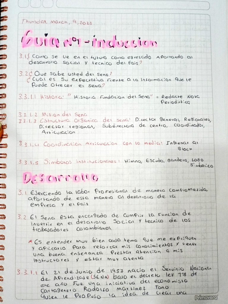 Guia 1 Induccion Pdf