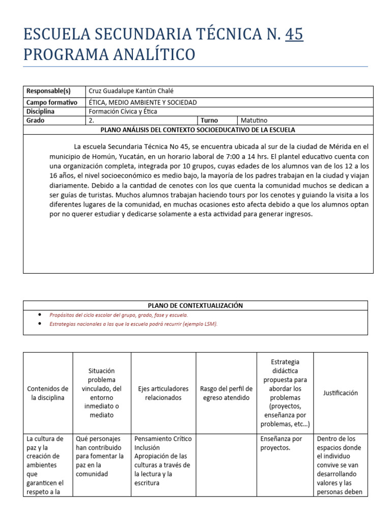 Formato de Programa Analítico. | Descargar gratis PDF | Escuelas | Educación Secundaria