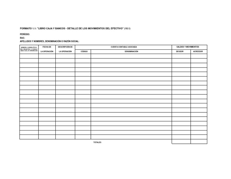 Formato1.1 EFECTIVO | PDF