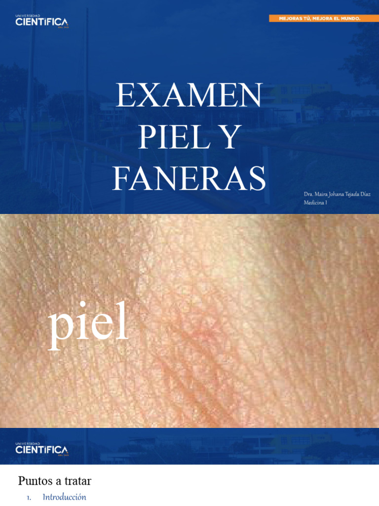 Piel y Faneras - Examem General | PDF | Especialidades Medicas ...