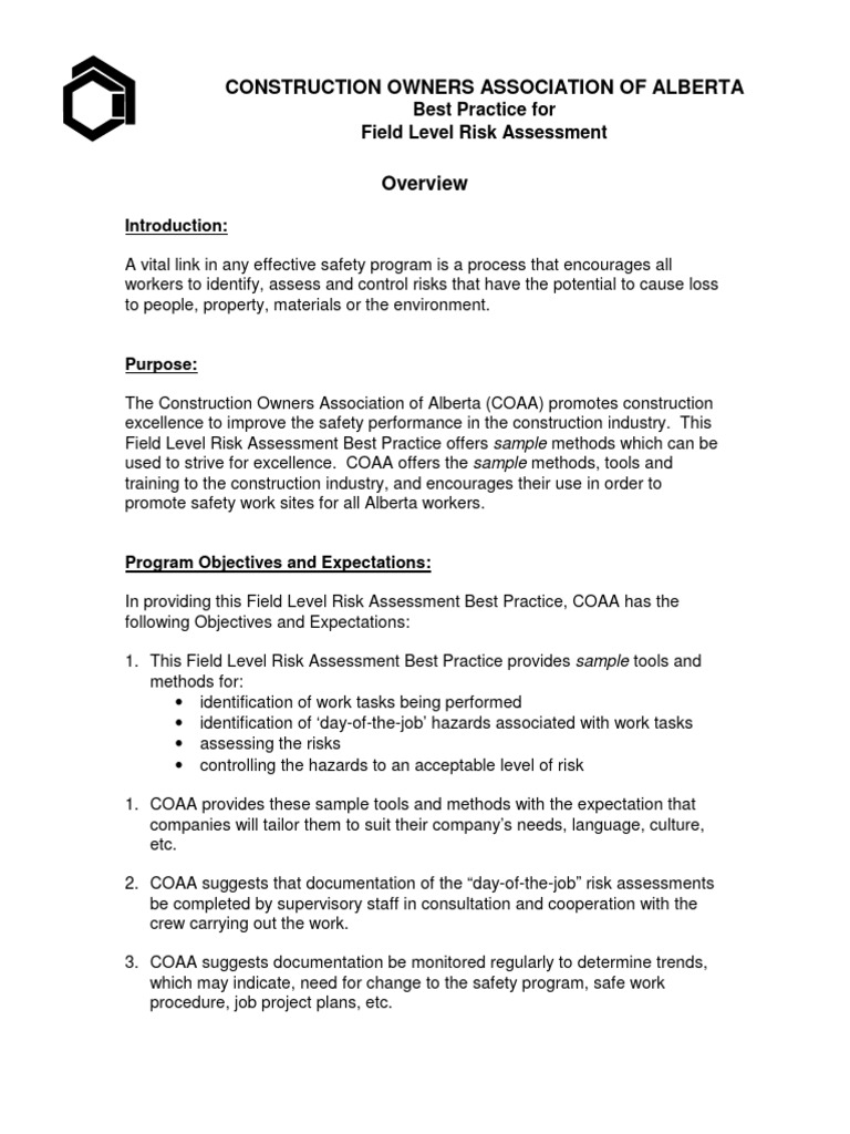 SAF FLR TMP 01 1998 v1 FLRA Field Level Risk Assessment | PDF | Risk ...