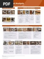 Common Abbreviations in Vet Med | PDF | Clinical Medicine | Diseases ...