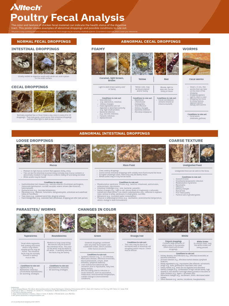 Poultry Fecal Analysis Poster | PDF | Diseases And Disorders | Medicine