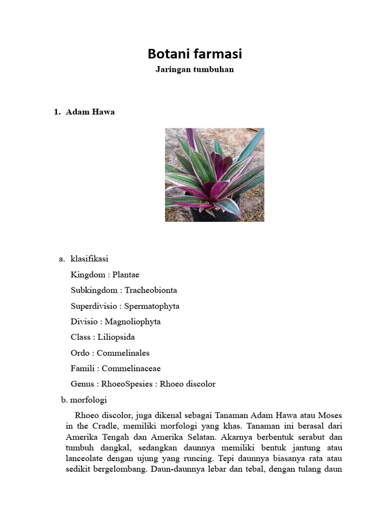 Botani Farmasi | PDF