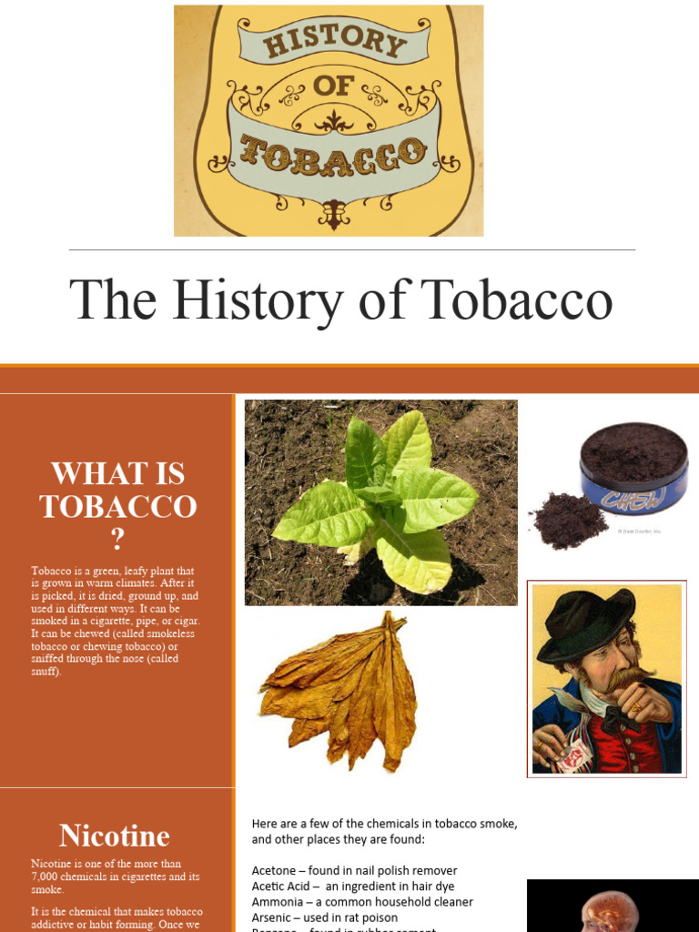 Tobacco | PDF | Cigarette | Tobacco Smoking