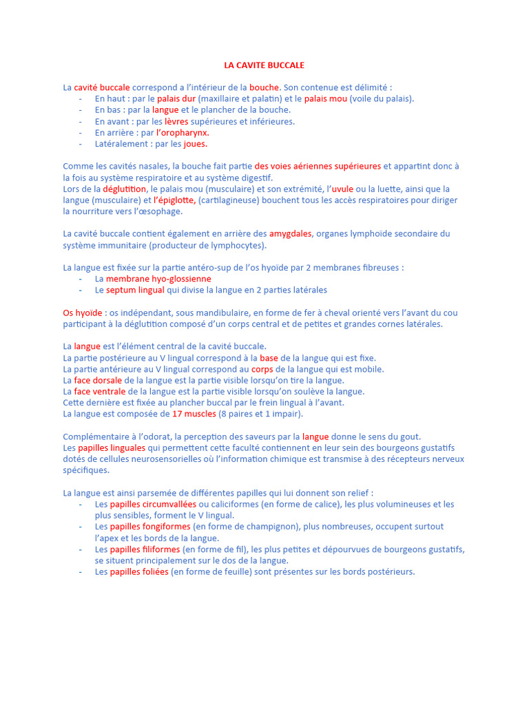 Anatomie de la cavité buccale | PDF | Langue | Anatomie