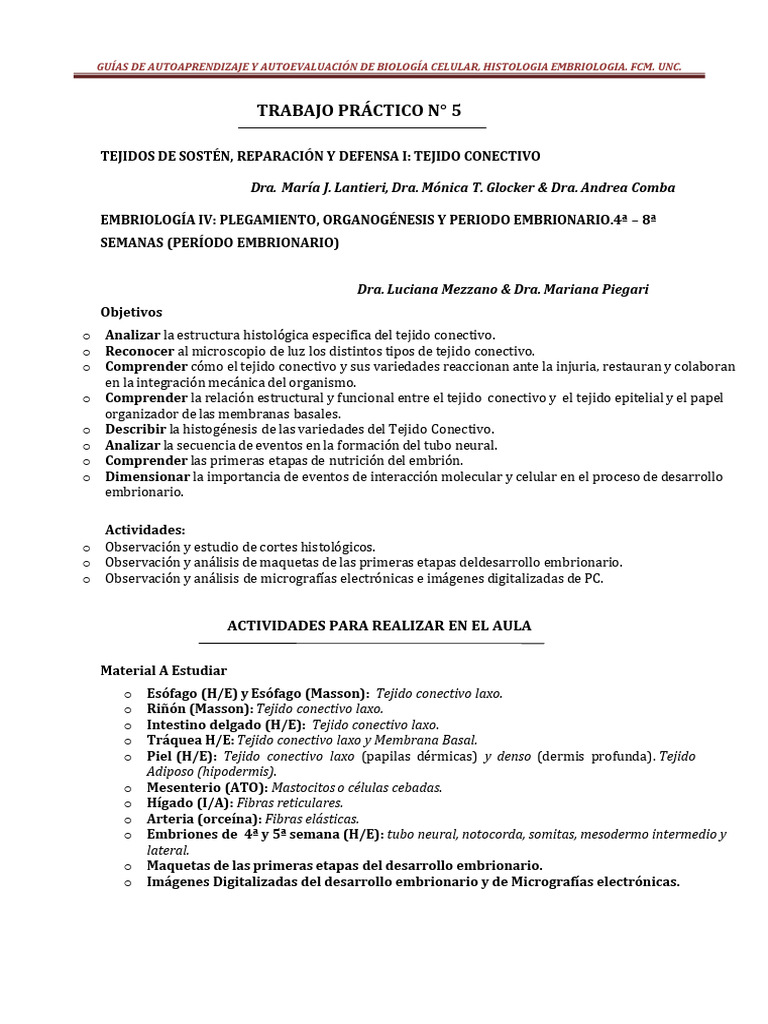 Guia de Autoaprendizaje 2023 TP5 T. Conectivo | PDF | Tejido conectivo | Epitelio