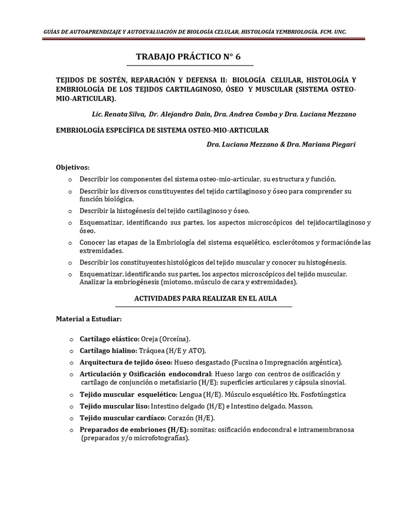 Guia de Autoaprendizaje 2023 TP6 Osteomioarticular | PDF | Cartílago | Hueso