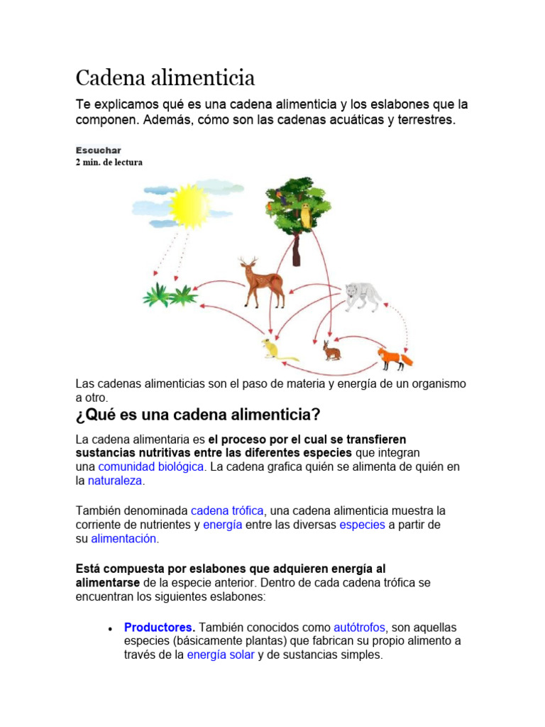 Cadena Alimenticia | PDF | Red alimentaria | Biología
