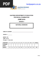 2024 Ns Grade 9 Test Term 1 - Copy - Copy | PDF | Muscle | Foods