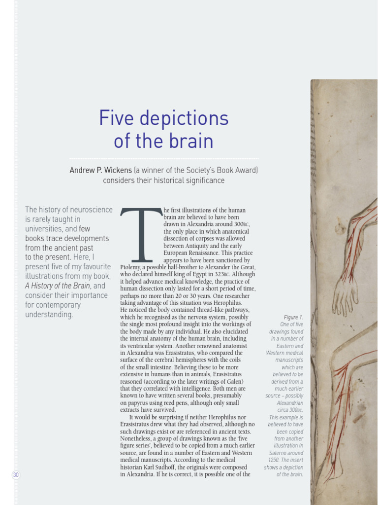 Cambridge Five Depictions | PDF | Neuron | Dendrite