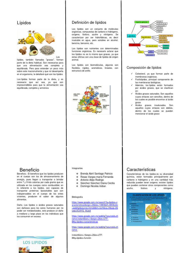 Triptico_lipidos | PDF | Lípido | Compuestos orgánicos
