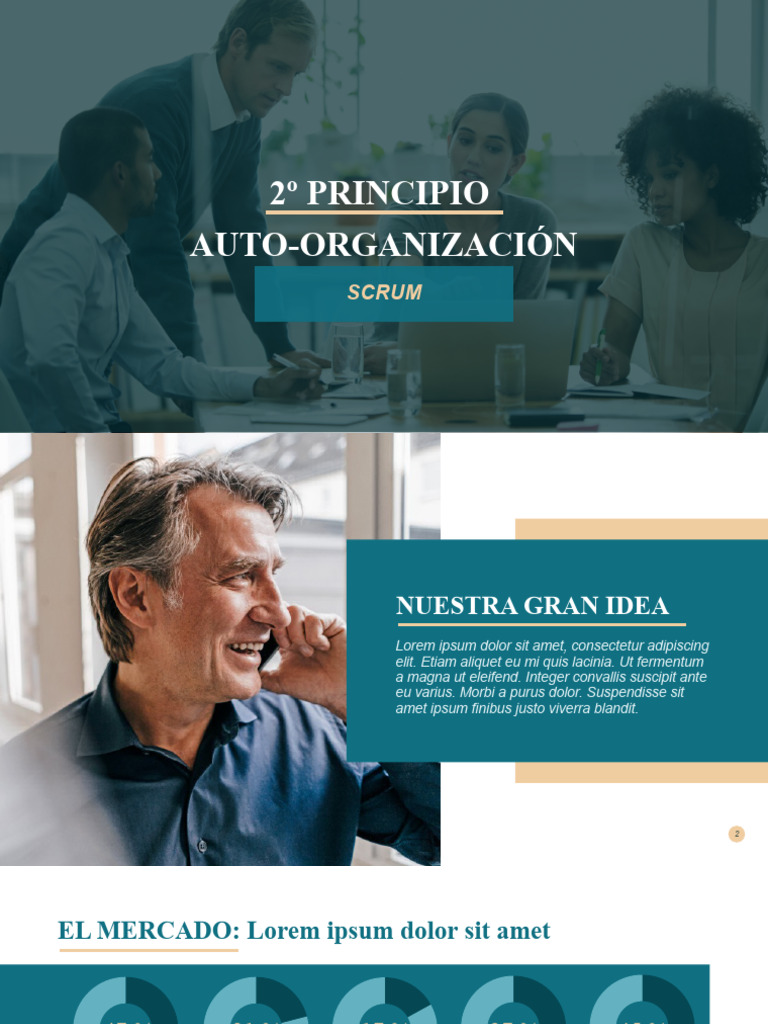 Auto-Organizacion SCRUM | PDF