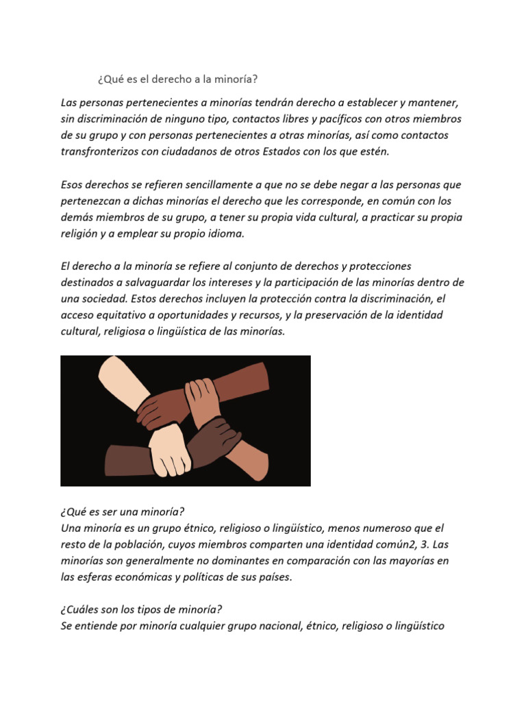 Qué Es El Derecho A La Minoría | PDF | Grupo minoritario | Etnicidad
