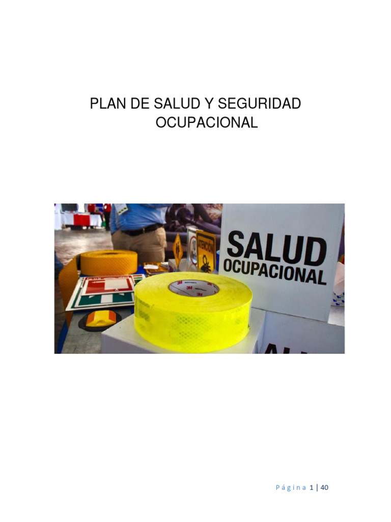 Ejemplo Plan de SSO | PDF | Riesgo | Seguridad y salud ocupacional