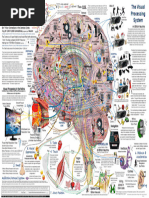 2023 - ACRM - Diagnositc - Criteria | PDF | Traumatic Brain Injury ...