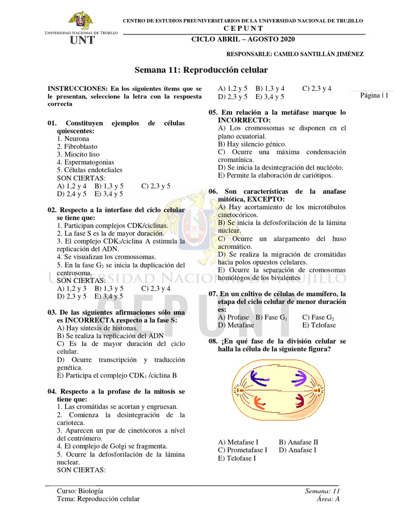 cepunt_TRANSFERENCIA_11_1A_3A_2020_camilo | PDF | Mitosis | Mitosis