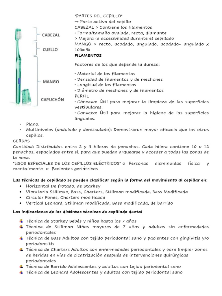 Partes Del Cepillo | PDF | Higiene oral | Ph