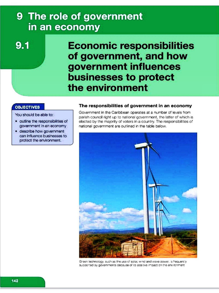 Role of Government | PDF