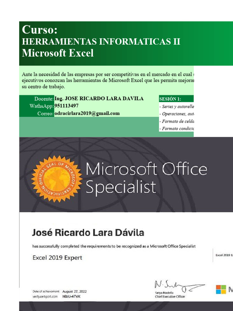 Clase 01 - Excel Profesional 2024 | PDF | Microsoft Excel | Hoja de cálculo